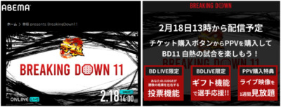 ブレイキングダウンのPPVの値段は？チケットを最安値で買えるのはどこ？ | 決済ガイド