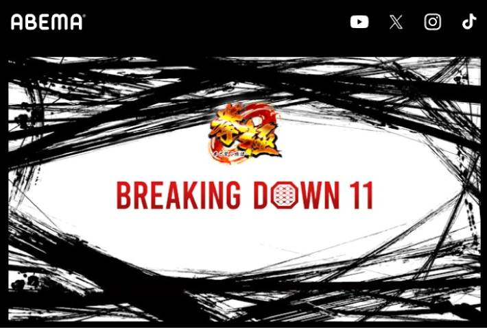 ブレイキングダウンのPPVの値段は？チケットを最安値で買えるのはどこ？ | 決済ガイド