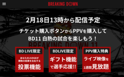 ブレイキングダウンのPPVの値段は？チケットを最安値で買えるのはどこ？ | 決済ガイド