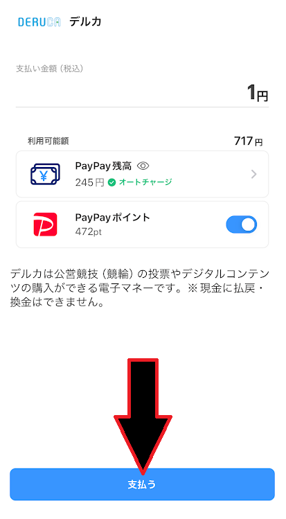 PayPayはKドリームスで使える！やり方とよくある質問 | 決済ガイド